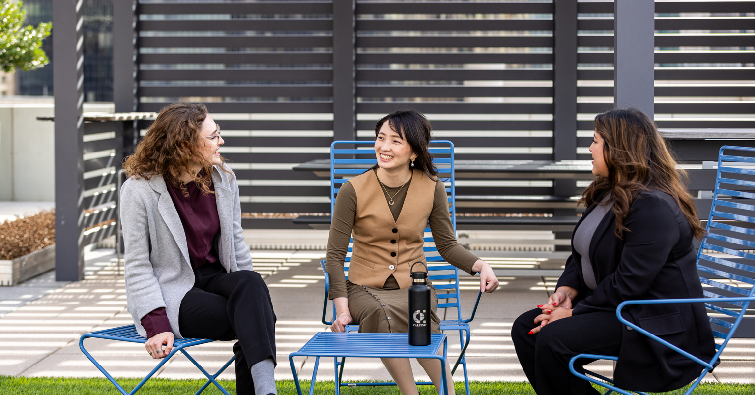 Who We Are - Calpine